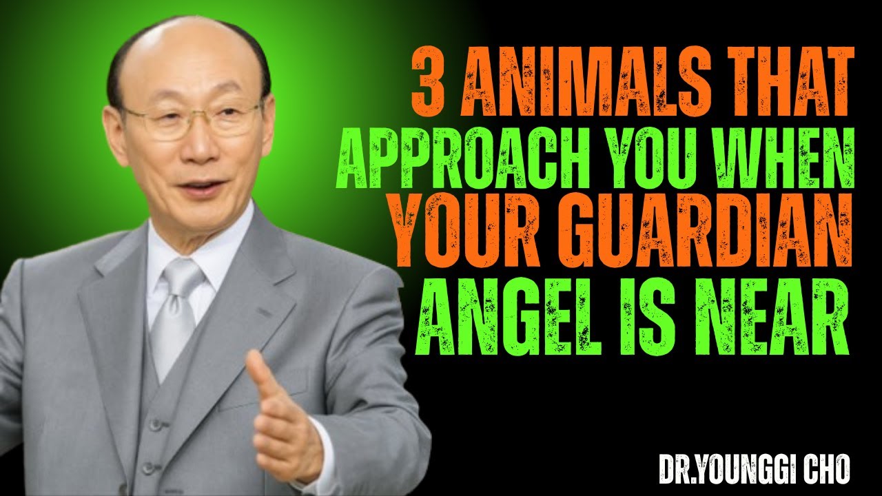 3 ANIMALS THAT APPROACH YOU WHEN YOUR GUARDIAN ANGEL IS NEAR Dr David ...