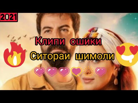 Клипи ситораи шимоли