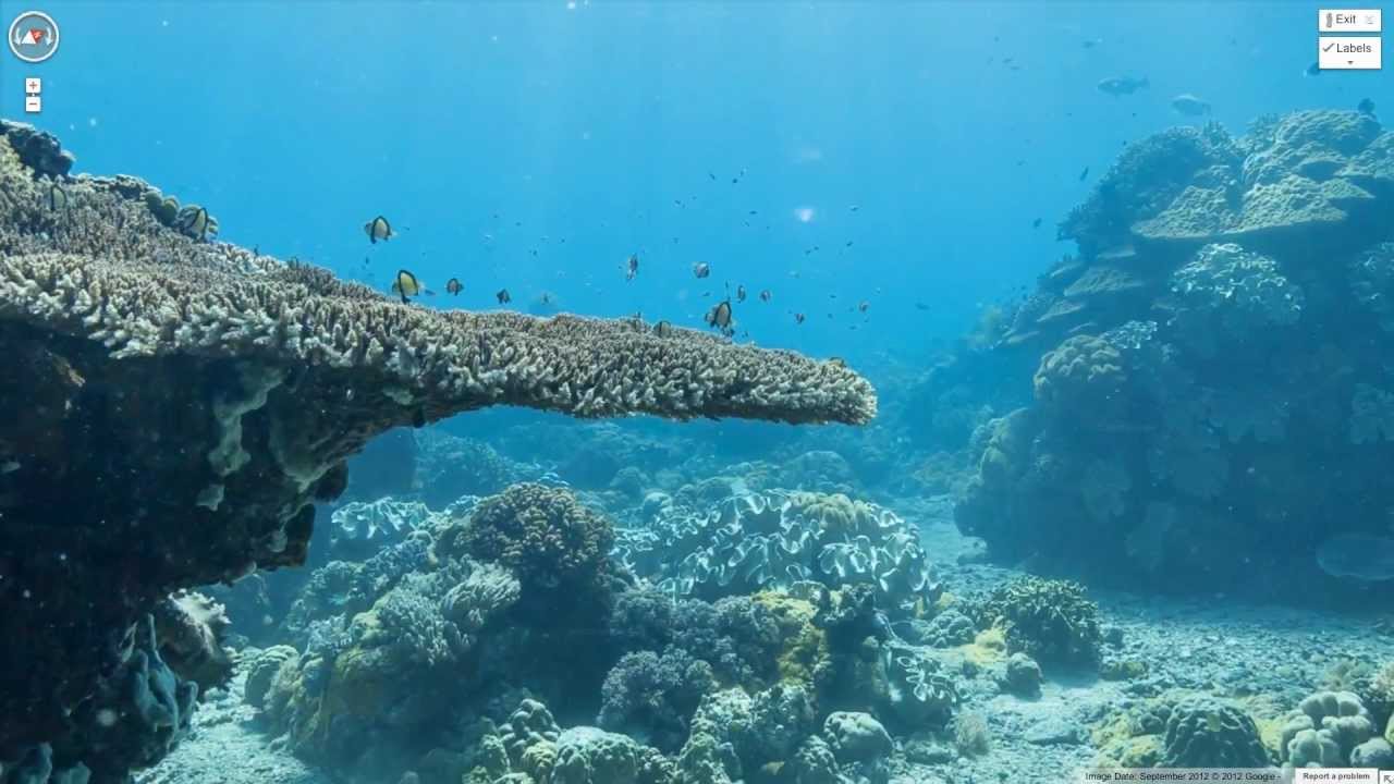 Explore the ocean with Google Maps & Catlin Seaview Survey - YouTube
