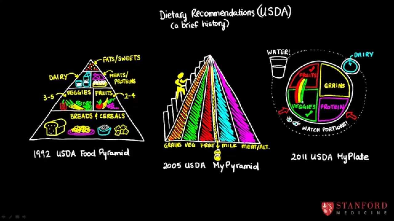 Child Nutrition : USDA nutrition guidelines - YouTube