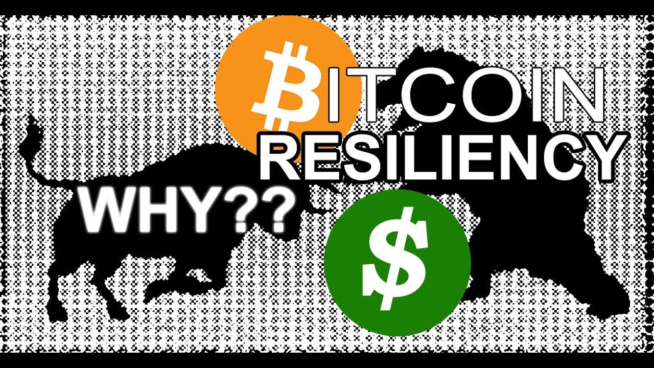Bitcoin's Resiliency Explained by an Experienced Trader - YouTube Bitcoin's Resiliency Explained by an Experienced Trader - YouTube