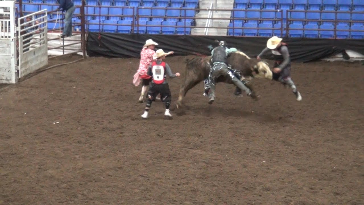 Bull Riding, Clown and Freestyle Bullfighting School 2019 Day 2 - YouTube