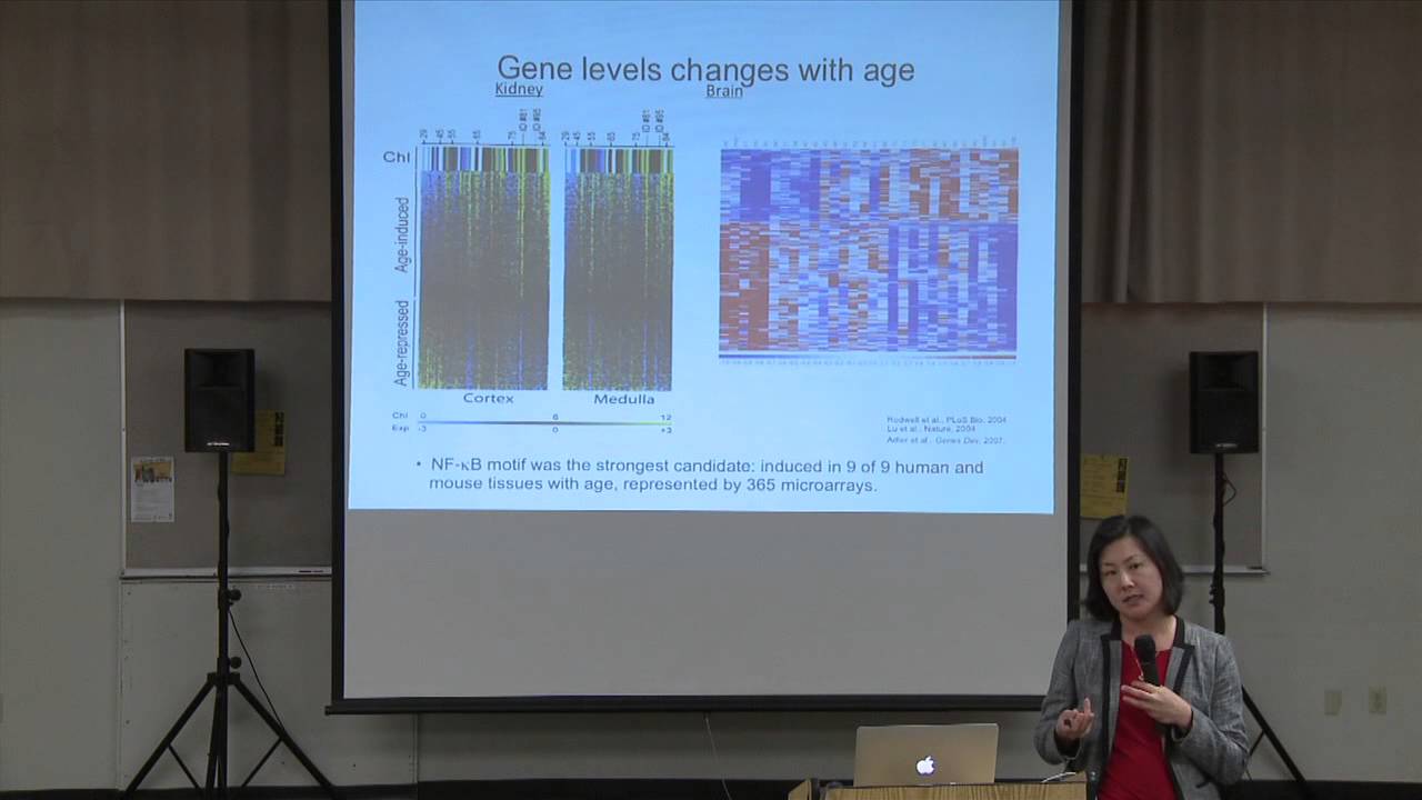 (2013-11b) Dr Anne Chang- Reversing Aging Skin - YouTube