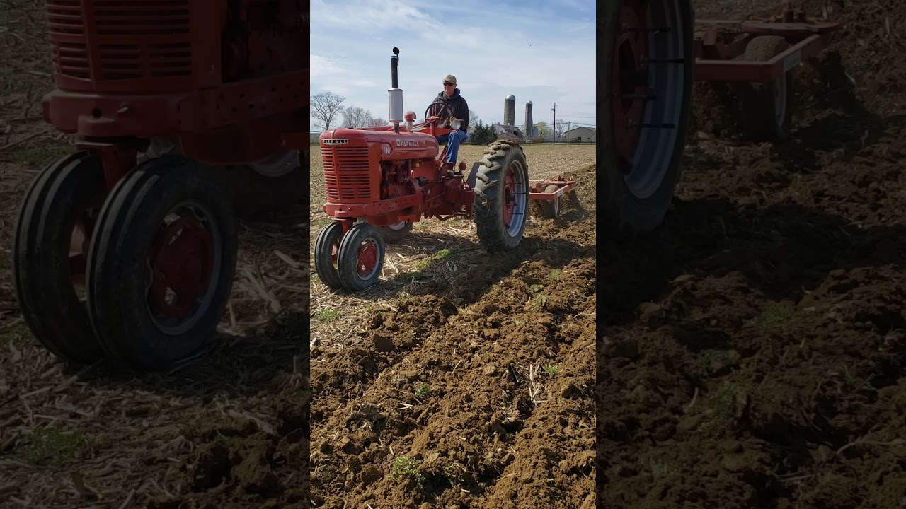 Farmall M Chisel Plowing - YouTube