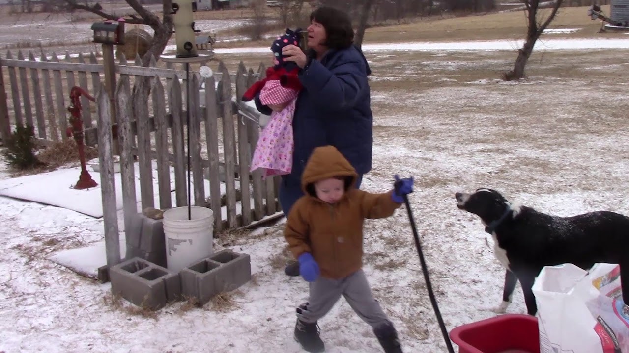 Homesteading Life- Feb. Walk Around the Homestead 2018 - YouTube
