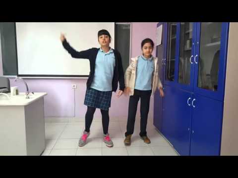 Özel Altınay Koleji - Fen Dersi T-Rap