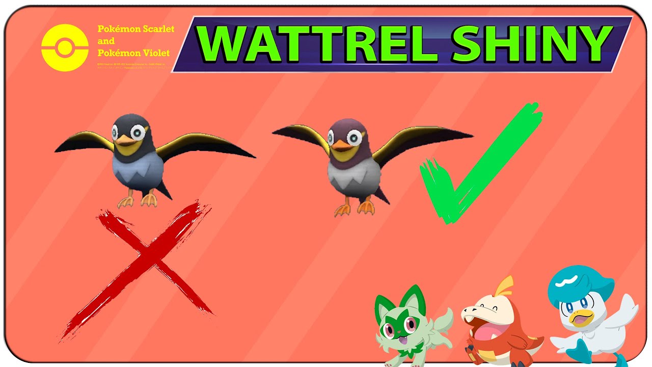 Wattrel Shiny - Pokemon Scarlet & Violet - YouTube