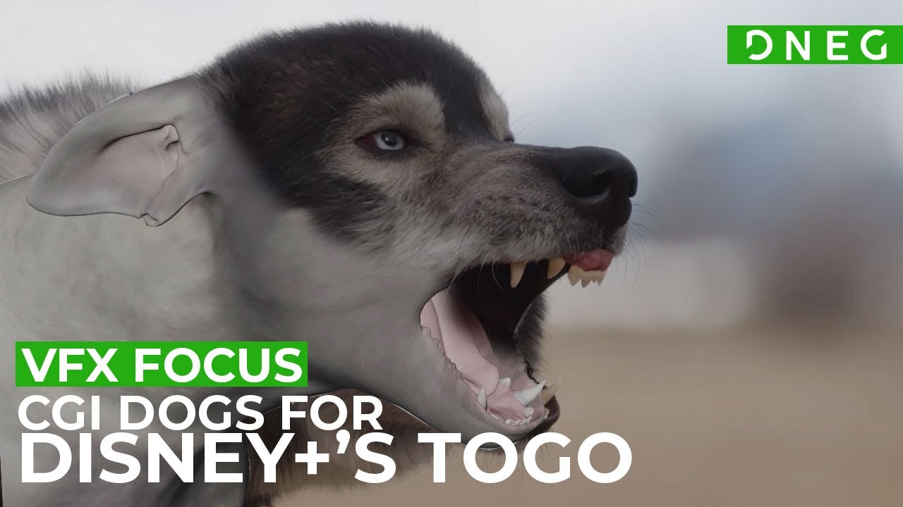 How DNEG team has created CGI Dogs for Disney+’s Togo | VFX FOCUS - YouTube