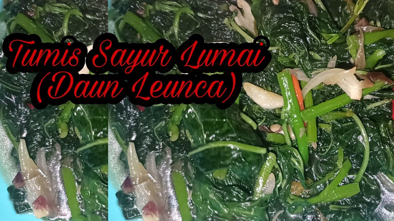 Tumis Sayur Lumai (Daun Leunca) - YouTube