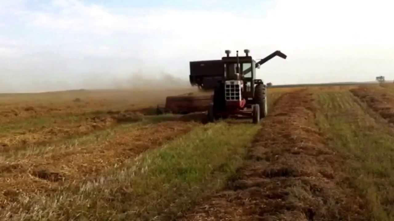 Versatile 42 Combine combining peas - YouTube