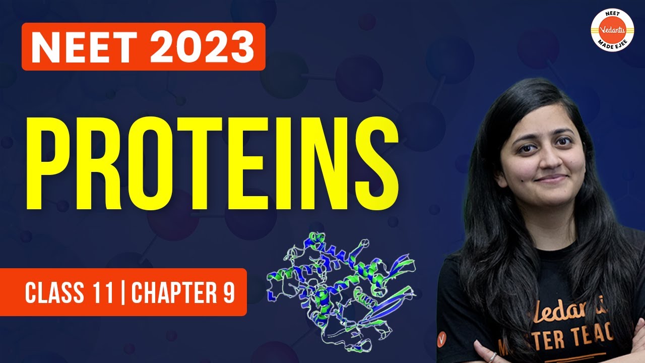 Proteins Class 11 Biology Chapter 9 | Biomolecules Proteins Class 11 ...