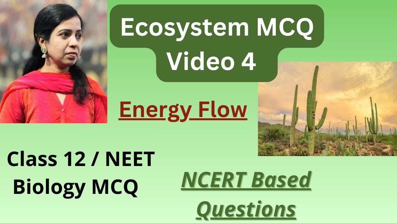 ECOSYSTEM MCQ / Part 4 / Energy Flow / NEET 2025 - YouTube