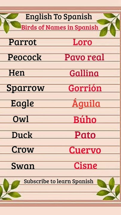 Names Of Birds In Spanish language #vocabulary - YouTube