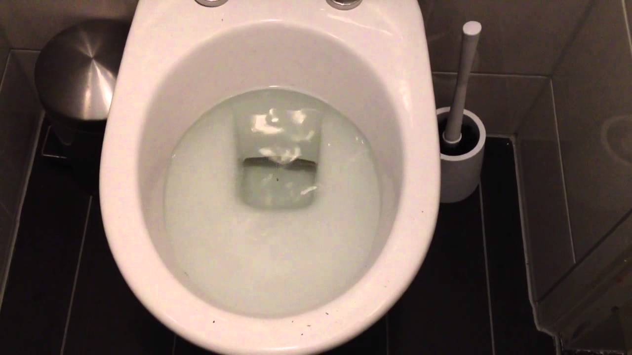 My brand new backed-up toilet - YouTube