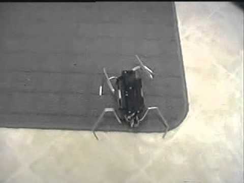 BEAM Robotics Bi-Core Walker - Grasshopper V. 2.5 - YouTube