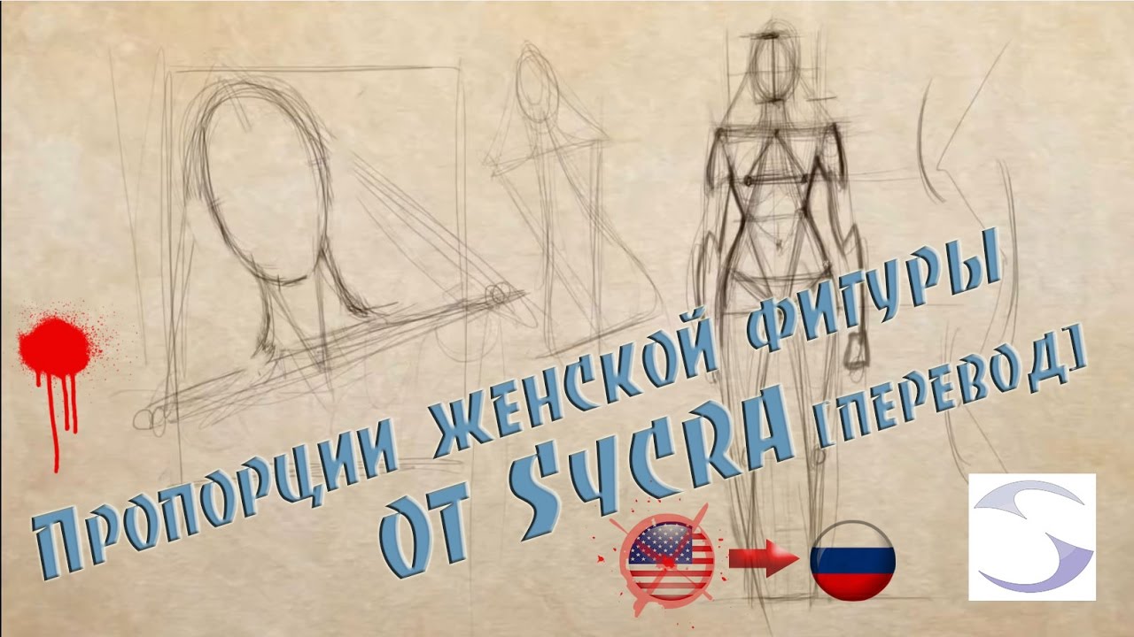 ПРОПОРЦИИ ЖЕНСКОЙ ФИГУРЫ КАК НАРИСОВАТЬ ЖЕНСКУЮ ФИГУРУ Sycra