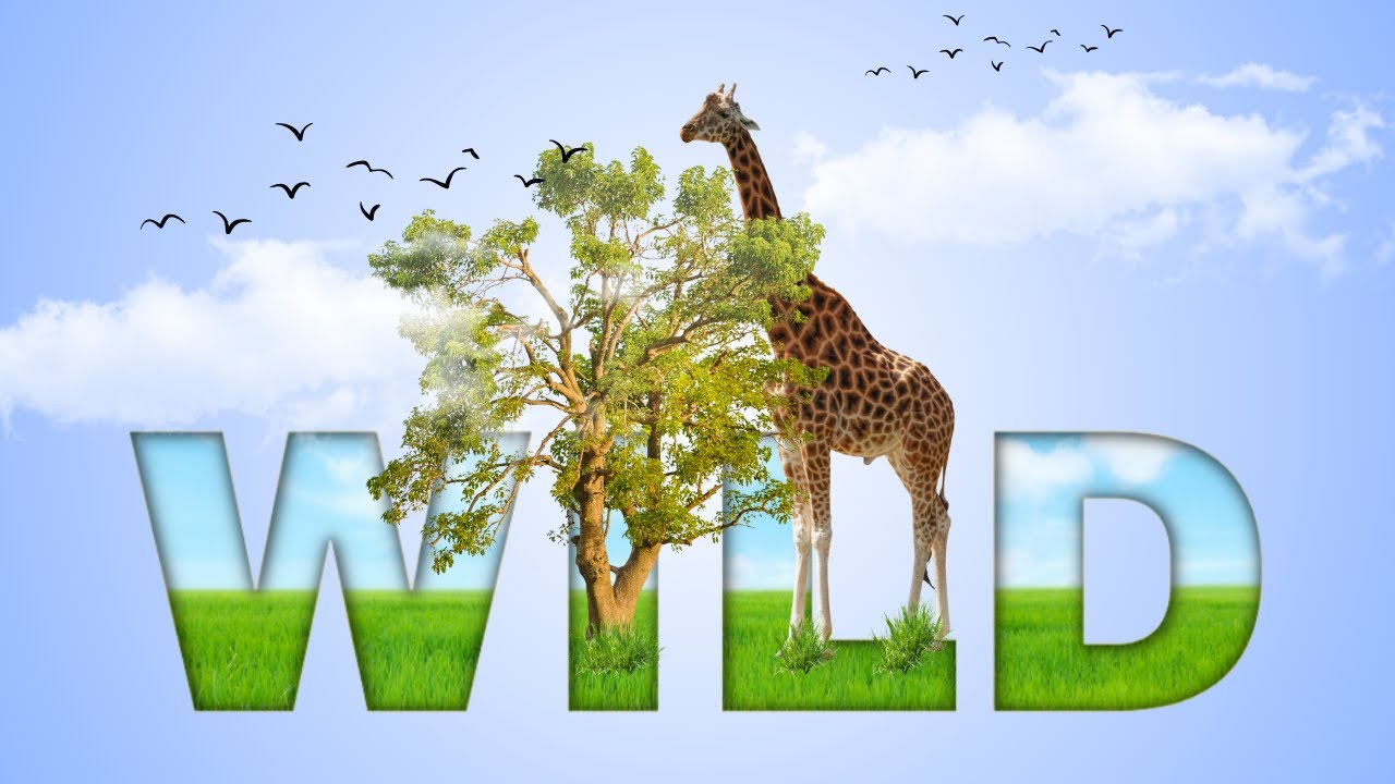 Typography Design Tutorial | Wild and Nature Theme Text Effect In Canva ...
