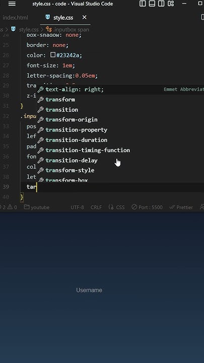 Input With Floating Label Html Css Shorts Html Css Htmlcss Tutorial Animation Youtube