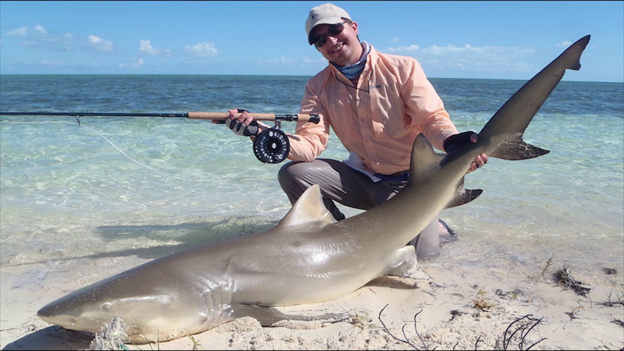 Lm2g-Flyfishing - FLATS & SHARKS - YouTube