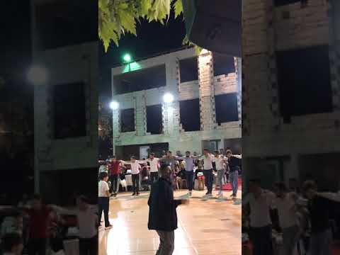 Yalova Çınarcık Ortaburun Köyü Kasap Havası Teşvikiye düğün salonı