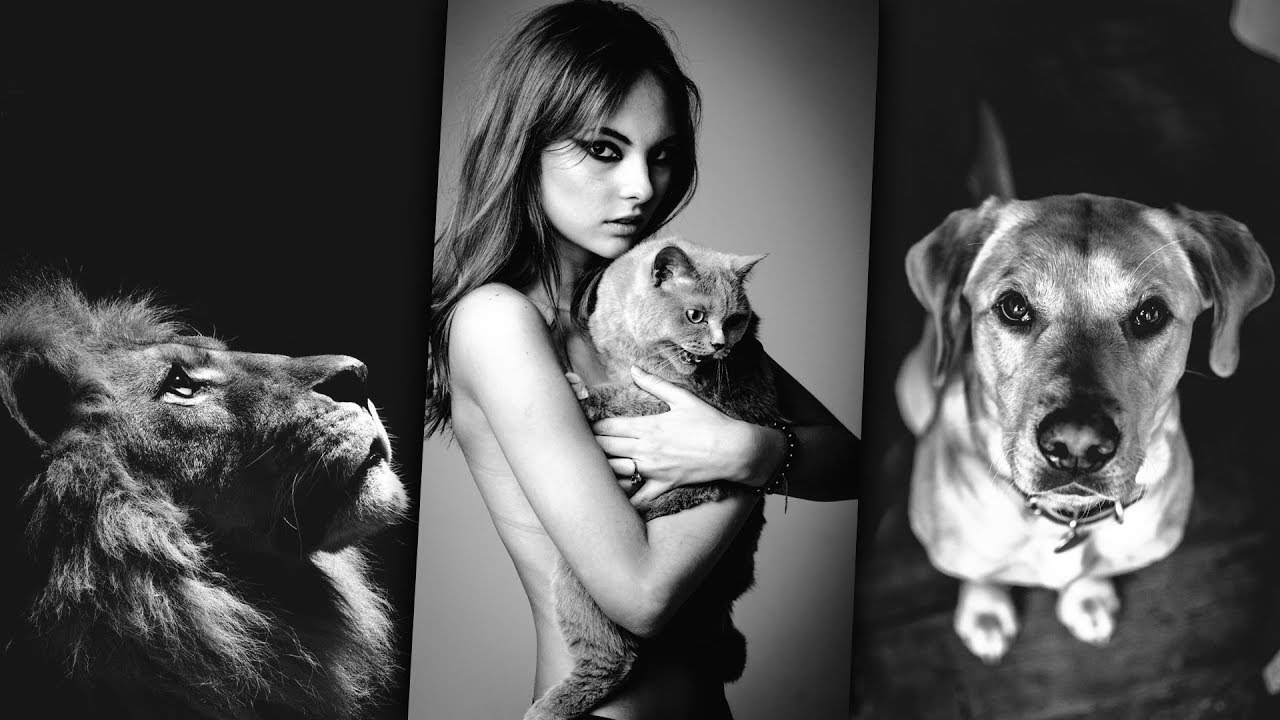 How To Edit BLACK AND WHITE Photos In Adobe Lightroom JASONMPETERSON how-to-edit-black-and-white-photos-in-adobe-lightroom-jasonmpeterson