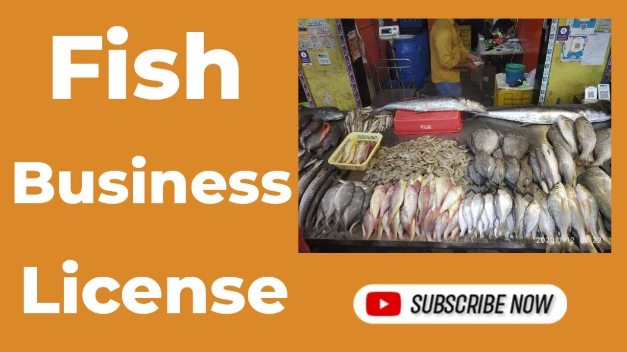 Fish Shop ki business k liye knse license lagtha hai | How to start ...