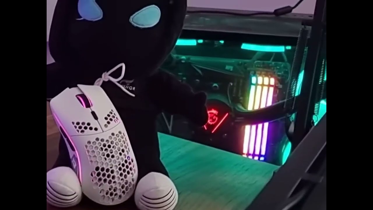 Tanqr caught in 4k 3 times 📸📸 📸 - YouTube