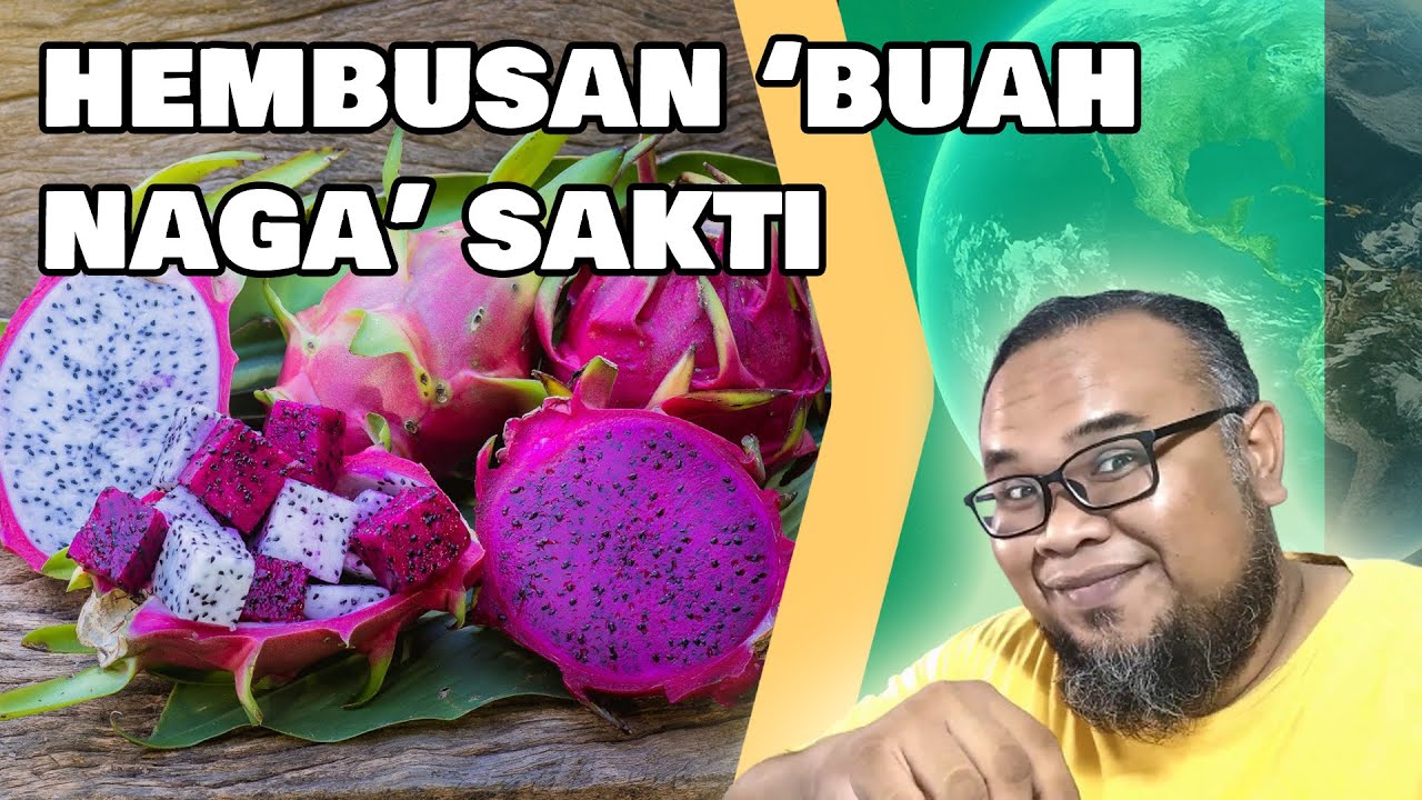 [ Siri 24 ] - Buah Naga (Hembusan 'Buah Naga' Sakti) - YouTube