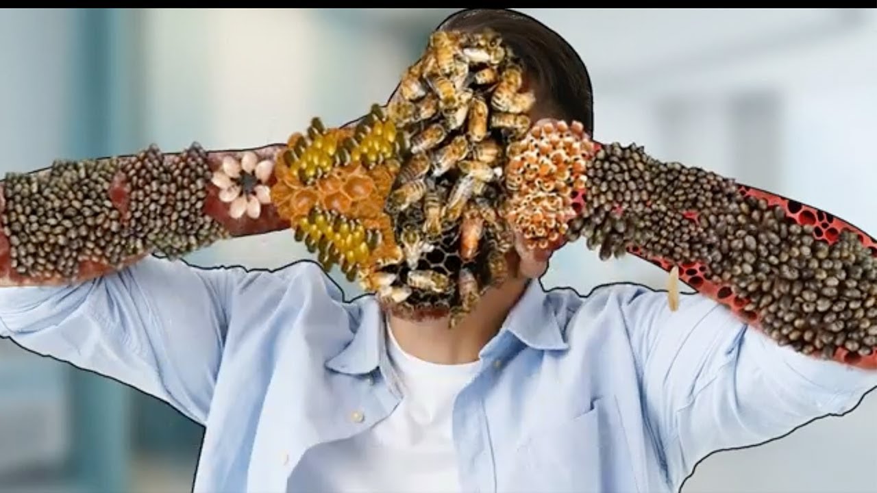 Live ASMR Animation Dog Ticks Removal & Back Treatment | severely ...