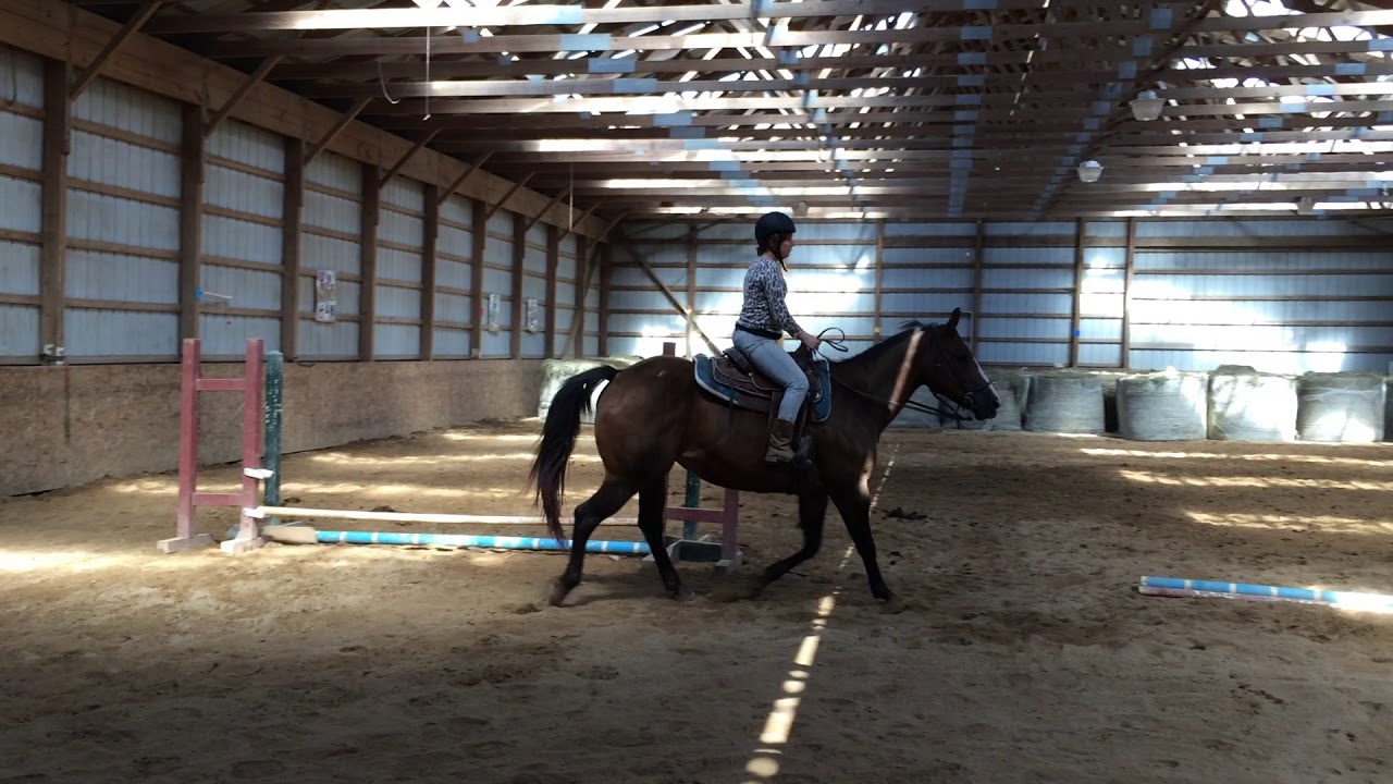 Jesse Quarter Horse mare - YouTube