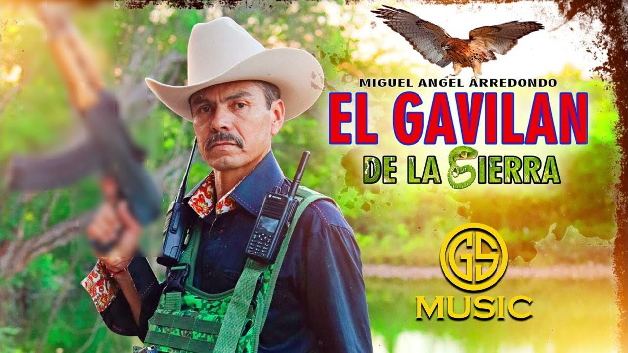 EL GAVILAN DE LA SIERRA COQUIYO CASTRO - YouTube