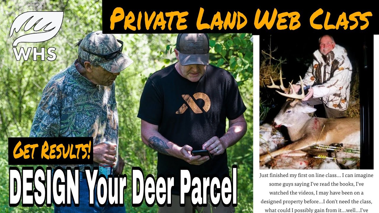 How To Design Your Deer Hunting Parcel - YouTube