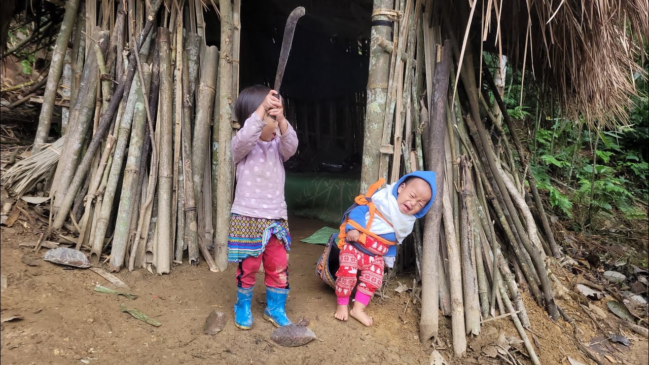 3 mother and children go to harvest rice to buy food - YouTube