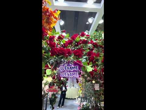 Ser El Primero (Bachata Remix)