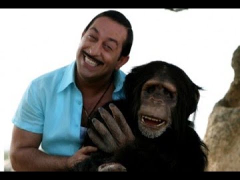 A.R.O.G I Maymunlara Yürüme Dersi