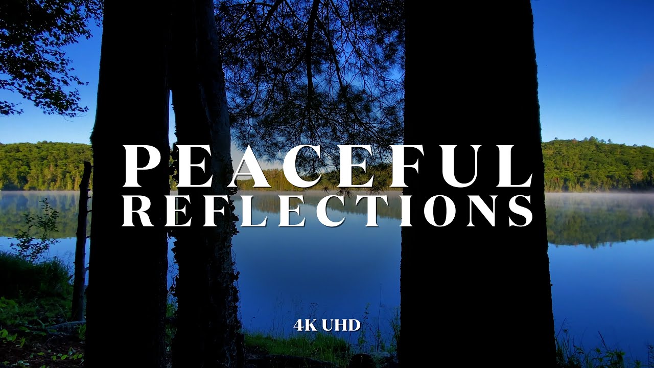 Peaceful Reflections | Enjoy a peaceful lake with calming birdsong ...
