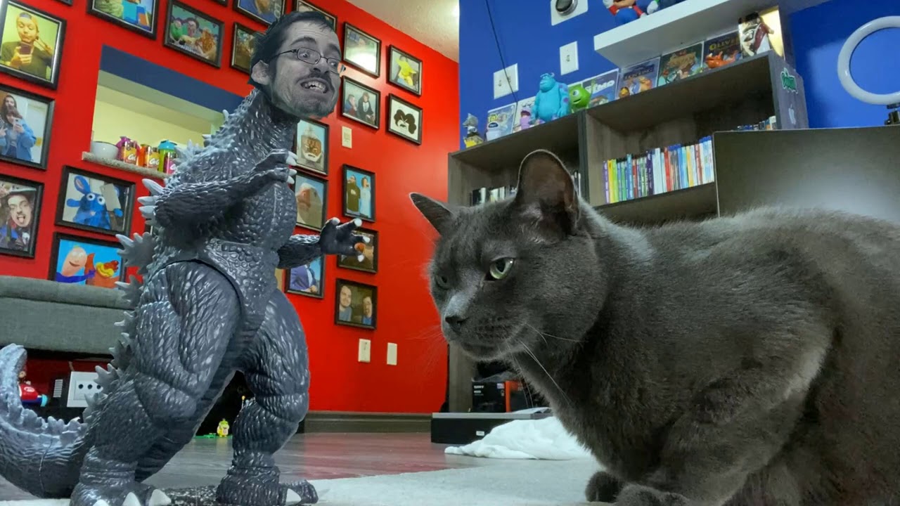 CRIPZILLA vs. CAT - YouTube