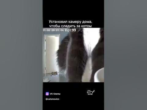 Глаз - YouTube