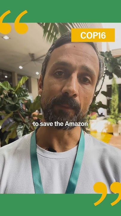 The Amazon Rainforest needs a different economic model. #cop16colombia ...