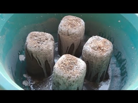 Asmr:🤤Gritty Charcol fully bajri add shapes on white marble paste/red ...