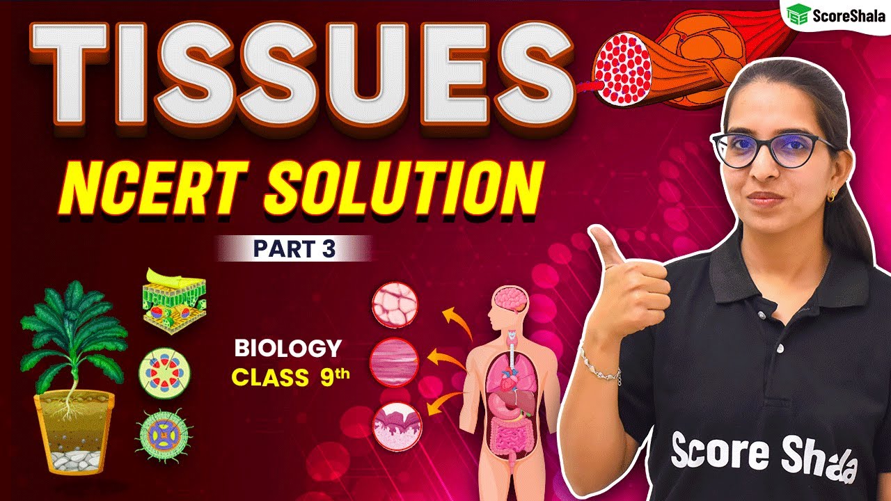 Tissue - NCERT Based Questions Part- 3 | Class 9 Science (Biology ...