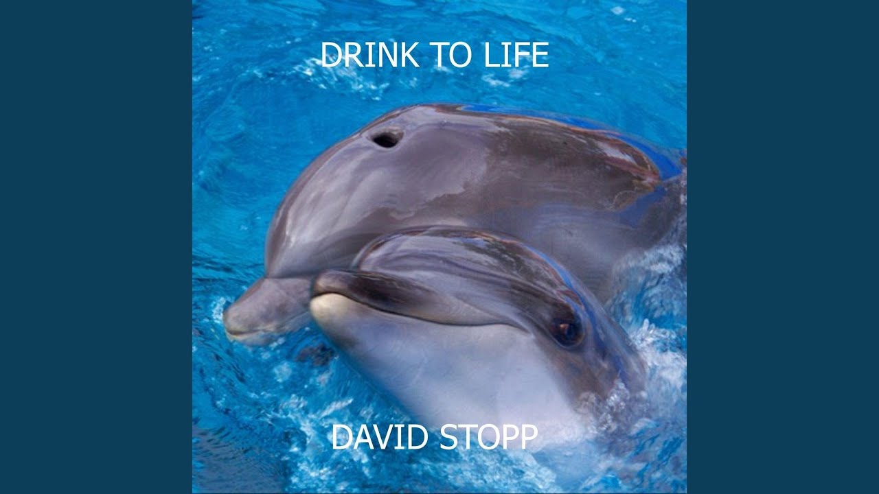 My Friend the Dolphin - YouTube