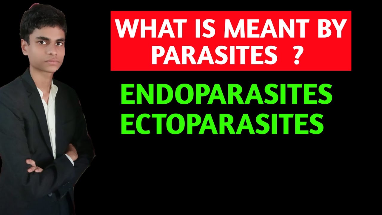 What is meant by parasite ? What is ectoparasites and endoparasites ...
