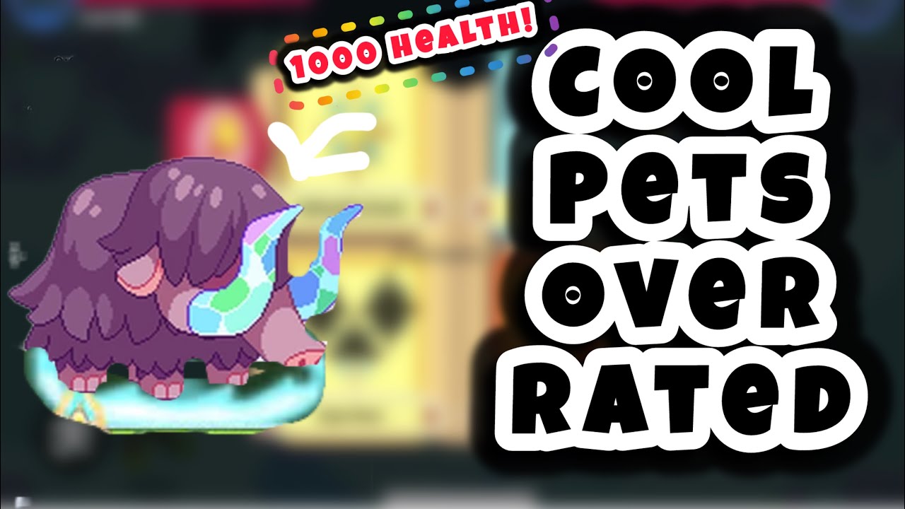 Prodigy Math Game | Cool Pets Over Rated!!! - YouTube