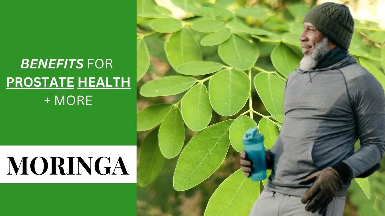 3 BENEFITS of MORINGA for MEN / How to REAP the BENEFITS of MORINGA ...