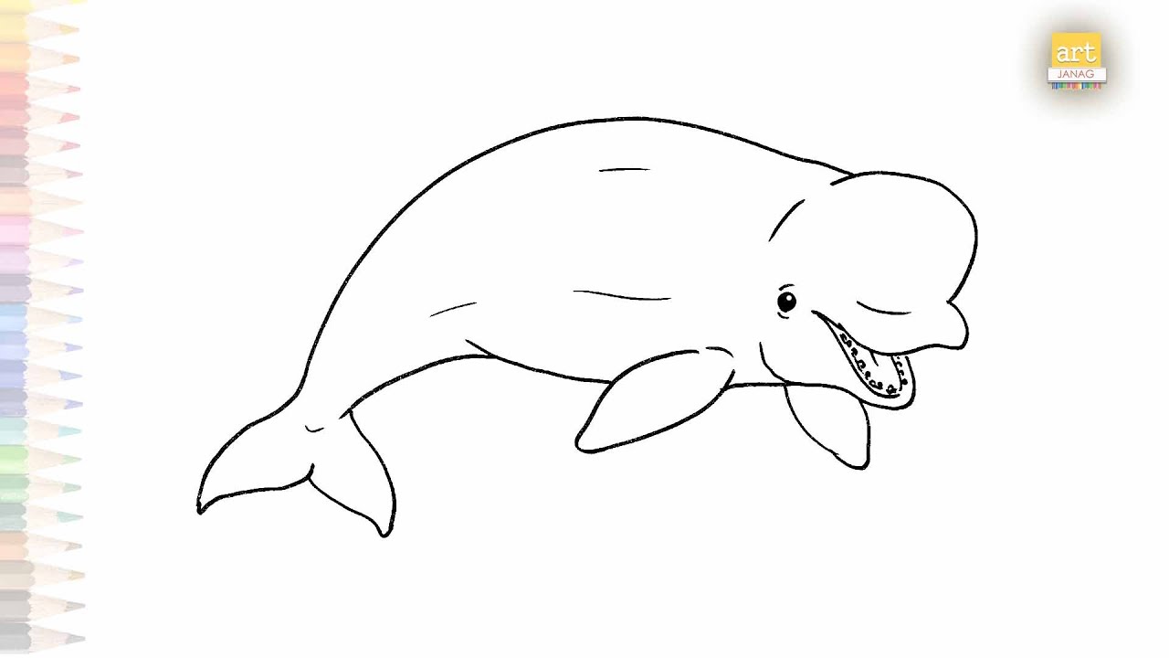 Beluga Whale easy drawing | Art tutorial | How to draw A Beluga Whale ...