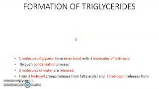 Chapter 1: Molecules of Life- Lipids: Formation of Triglycerides