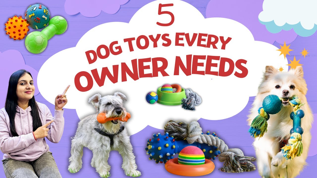 5 Must-Have Toys Every Dog Owner Needs for Fun and Fitness | Best Toys ...