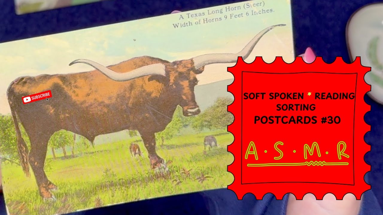 Unexpected ASMR / Relaxing Reading & Sorting, Vintage Postcards, Random ...