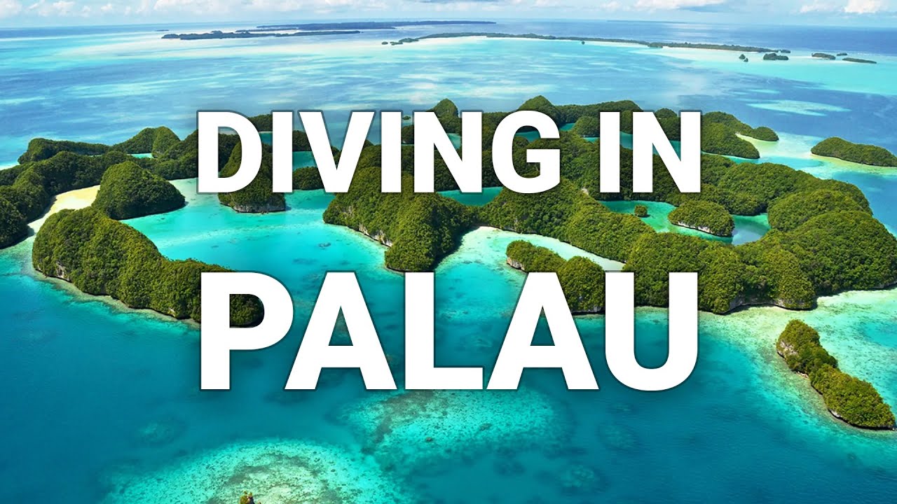 Scuba Diver Dive Guide to Palau - YouTube